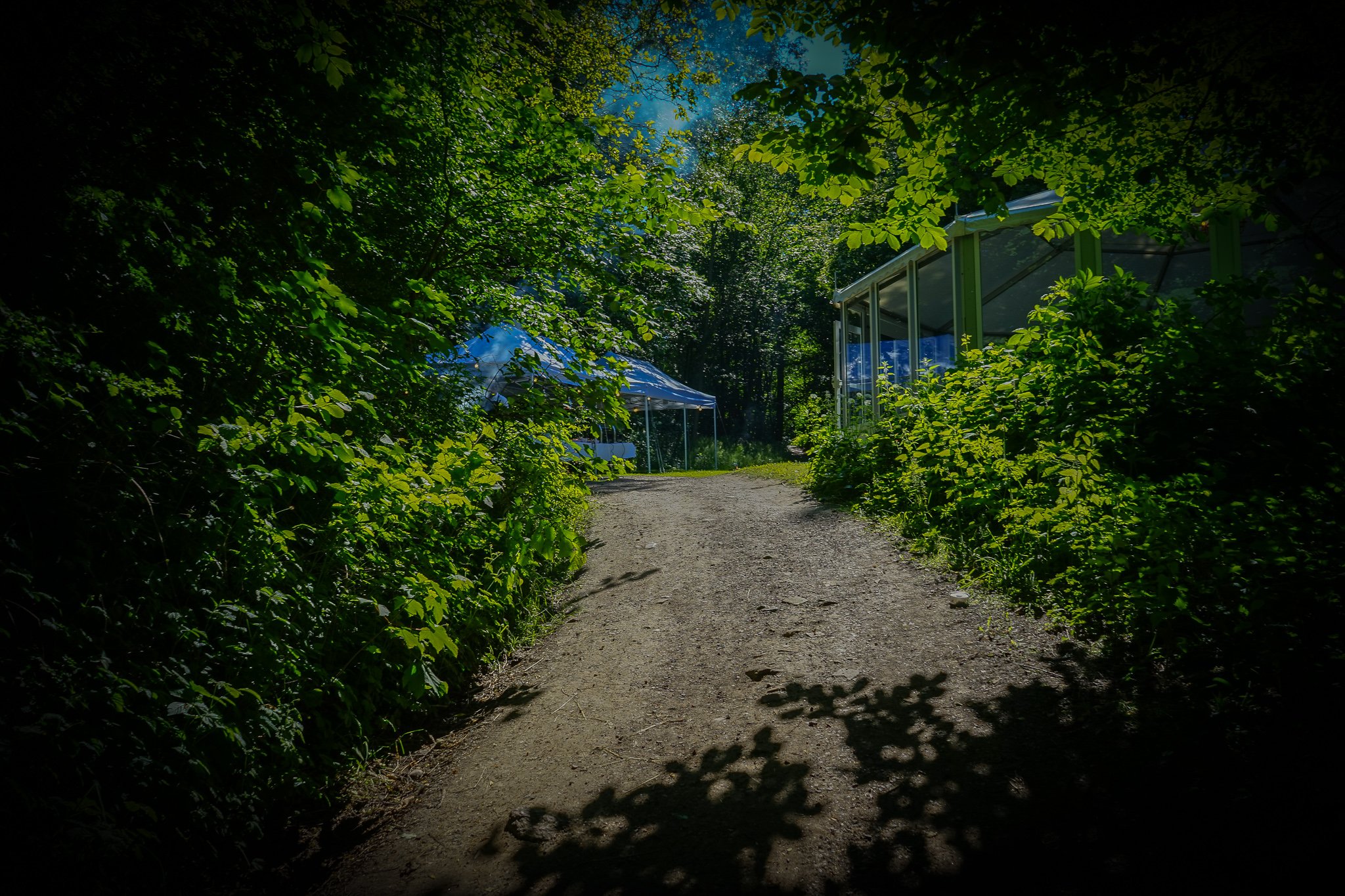 Tälta vid stranden intill havet eller i skogen på Camp Ven i Skåne